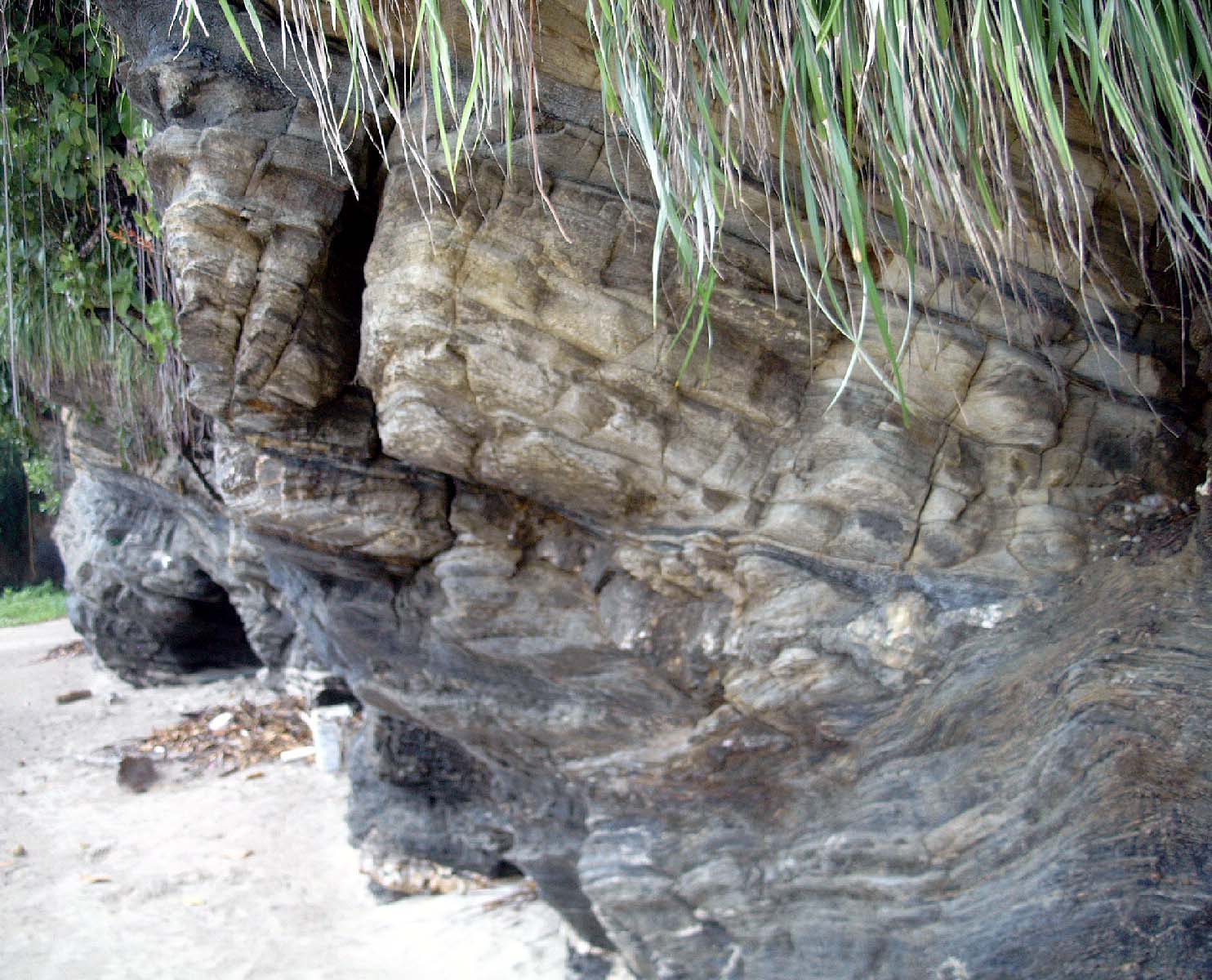 The Maracas Formation at Las Cuevas Bay | Curtis Archie