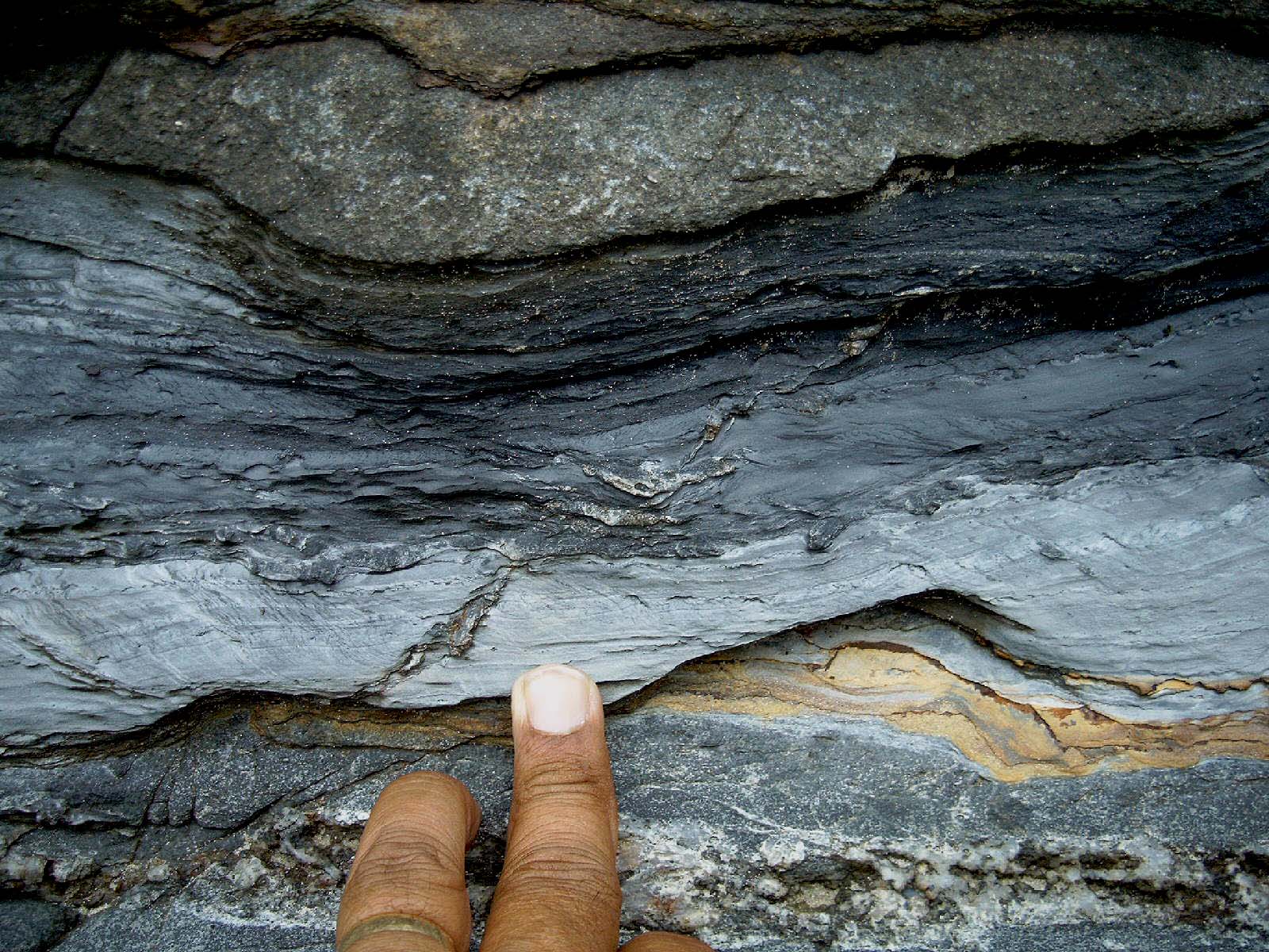 The Maracas Formation at Las Cuevas Bay | Curtis Archie