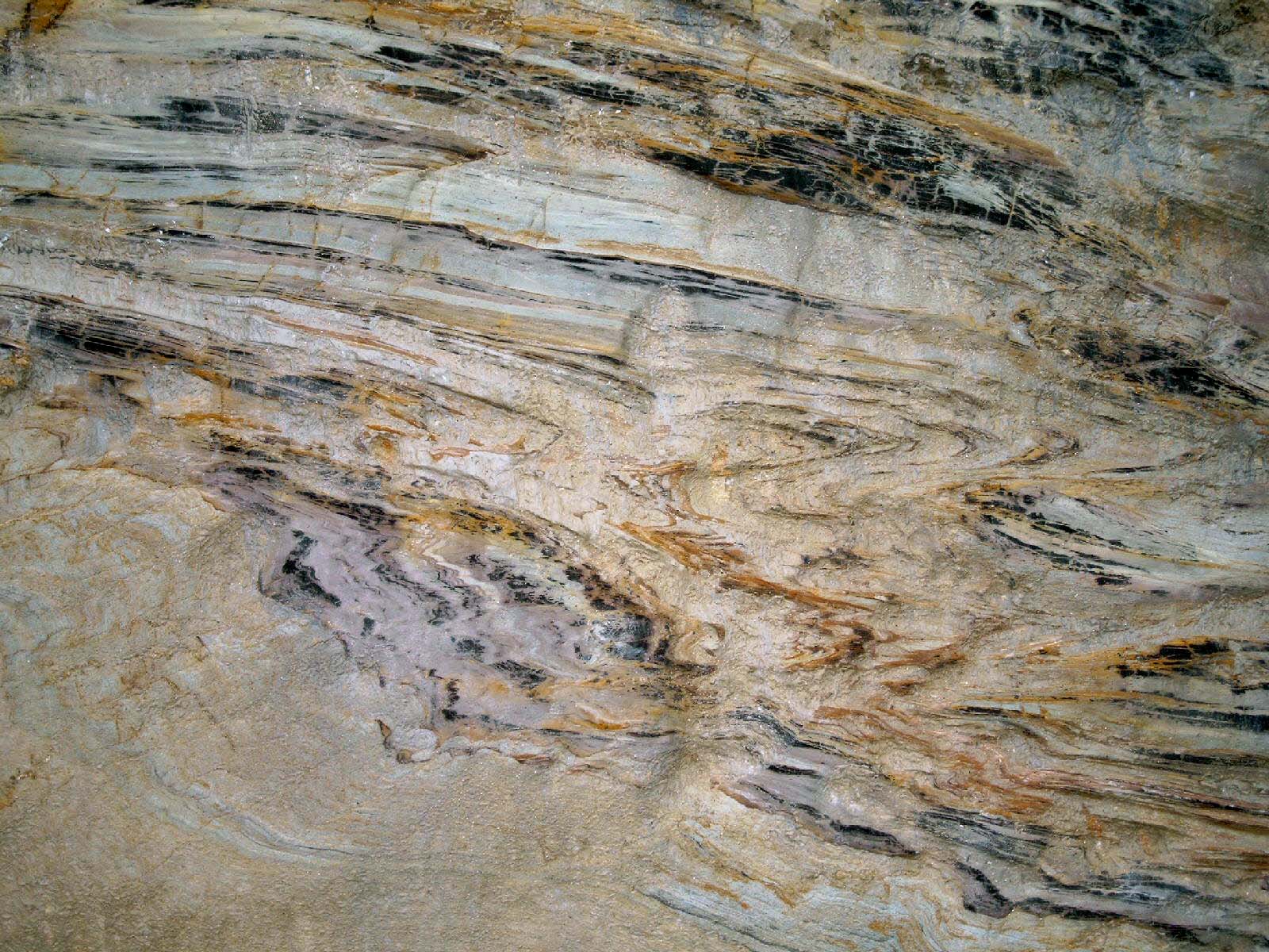 The Maracas Formation at Las Cuevas Bay | Curtis Archie