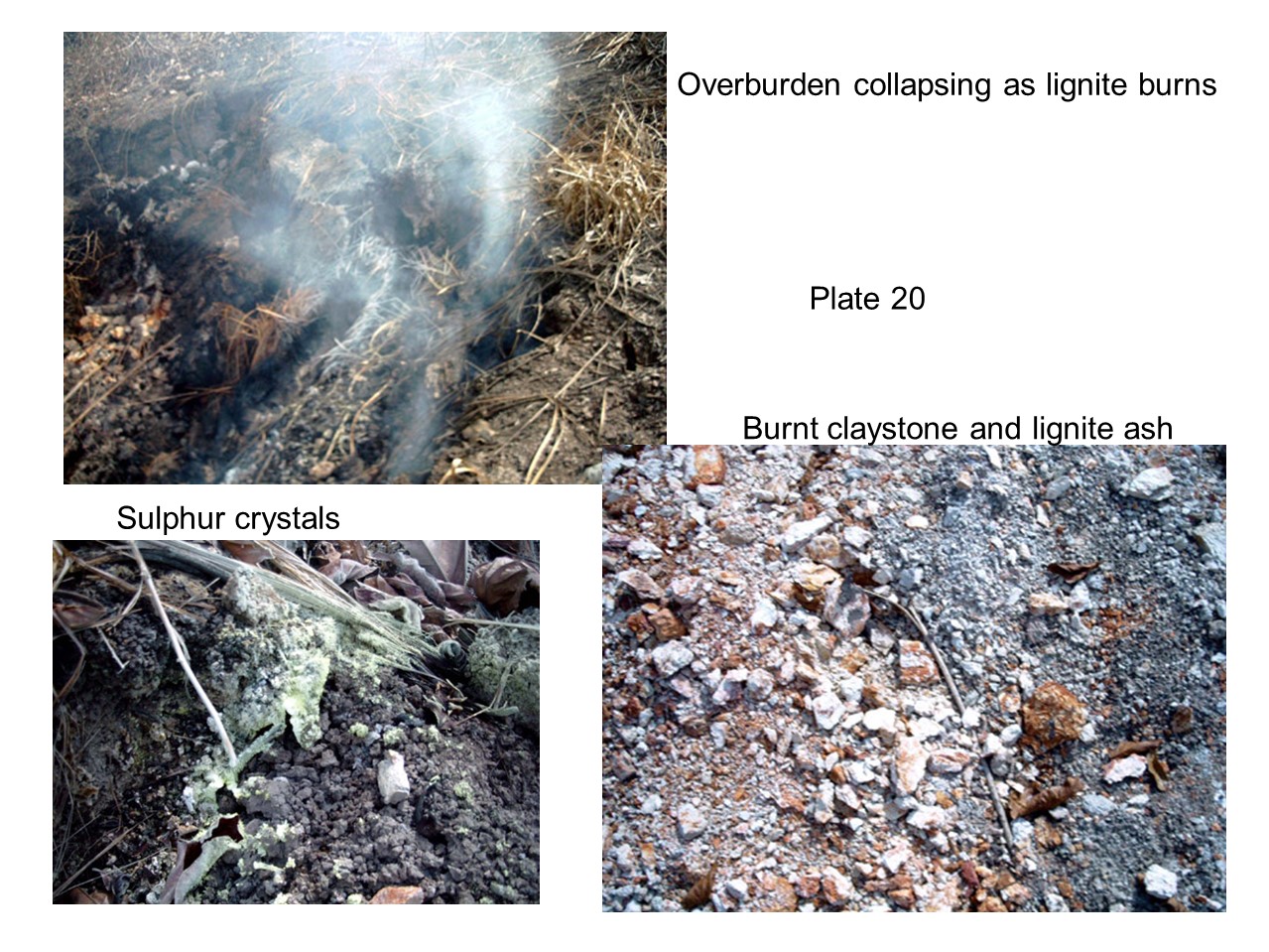 Lignites and Origin of Porcellanites | Curtis Archie
