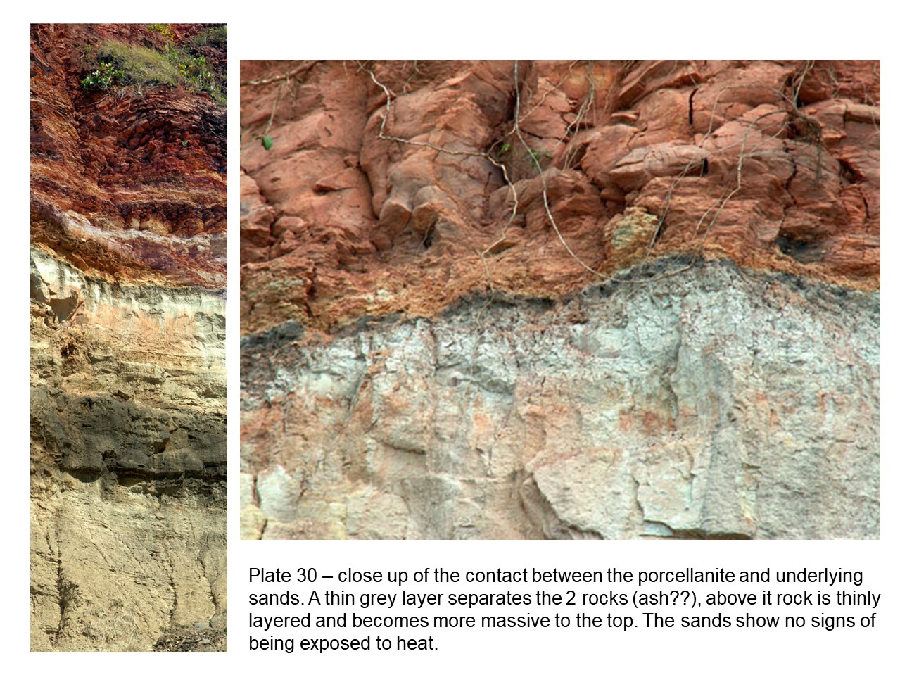 Lignites and Origin of Porcellanites | Curtis Archie