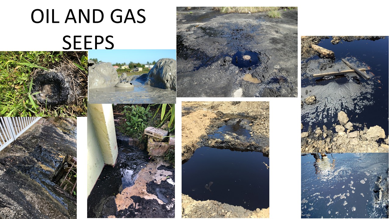 Oil Seeps | Curtis Archie